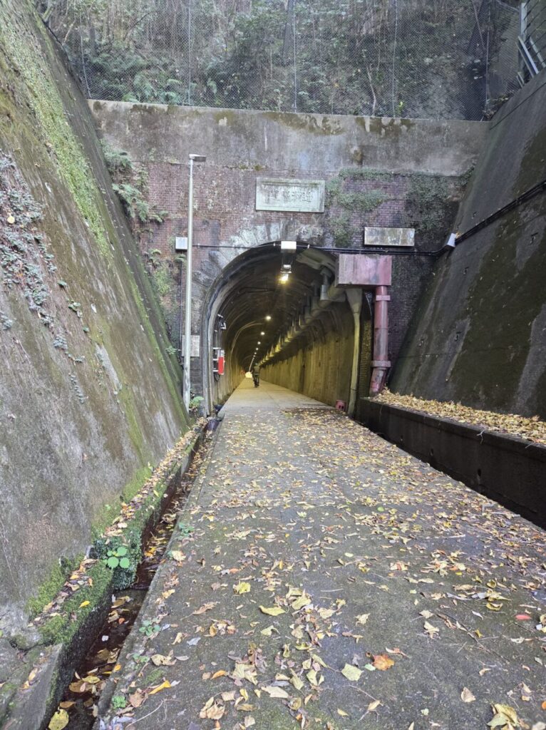 E-BIKEでサイクリング - NPO法人ふるさと企画舎 公式WEB